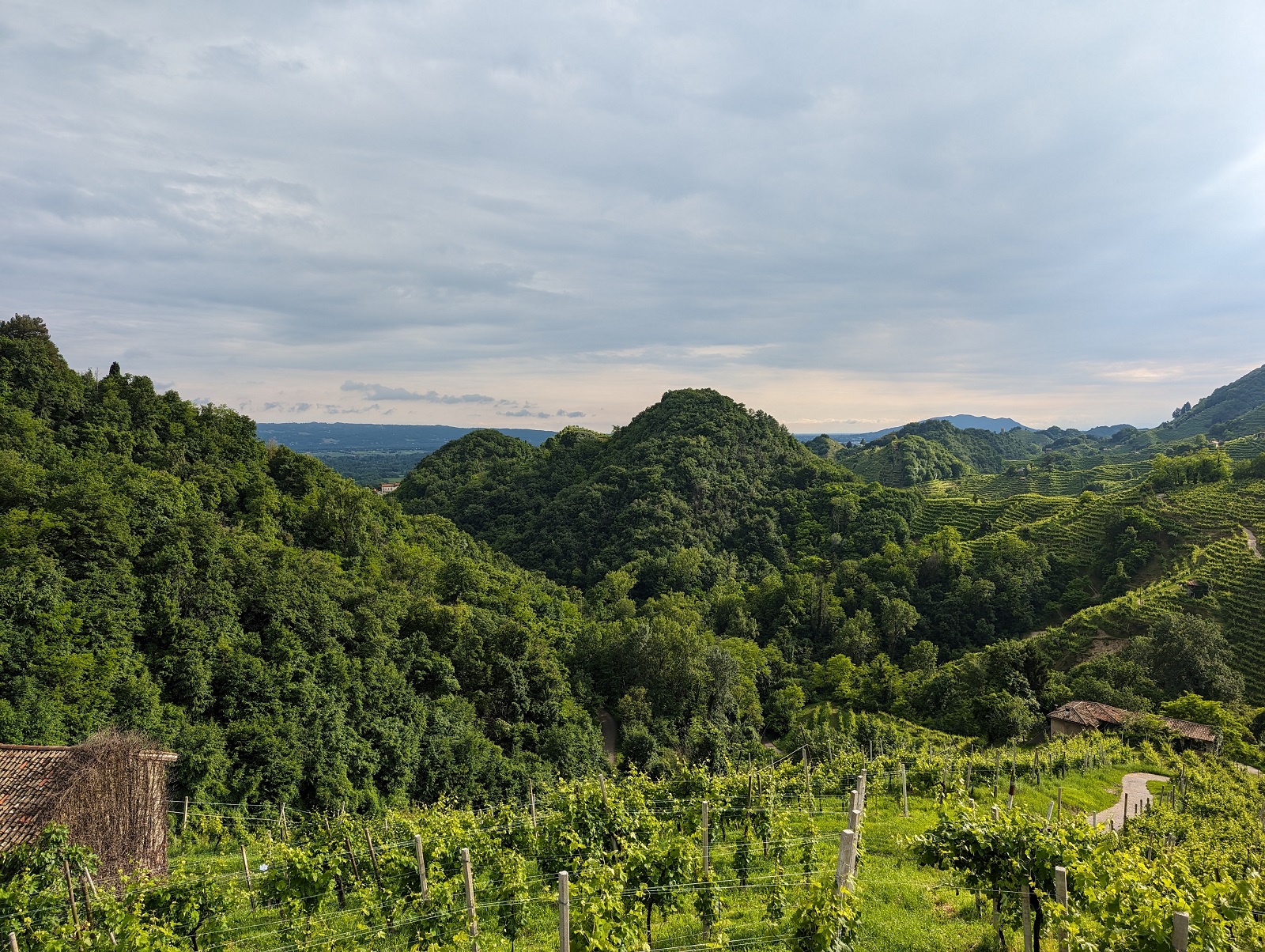 Le Colline del Prosecco di Conegliano e Valdobbiadene: ein ...