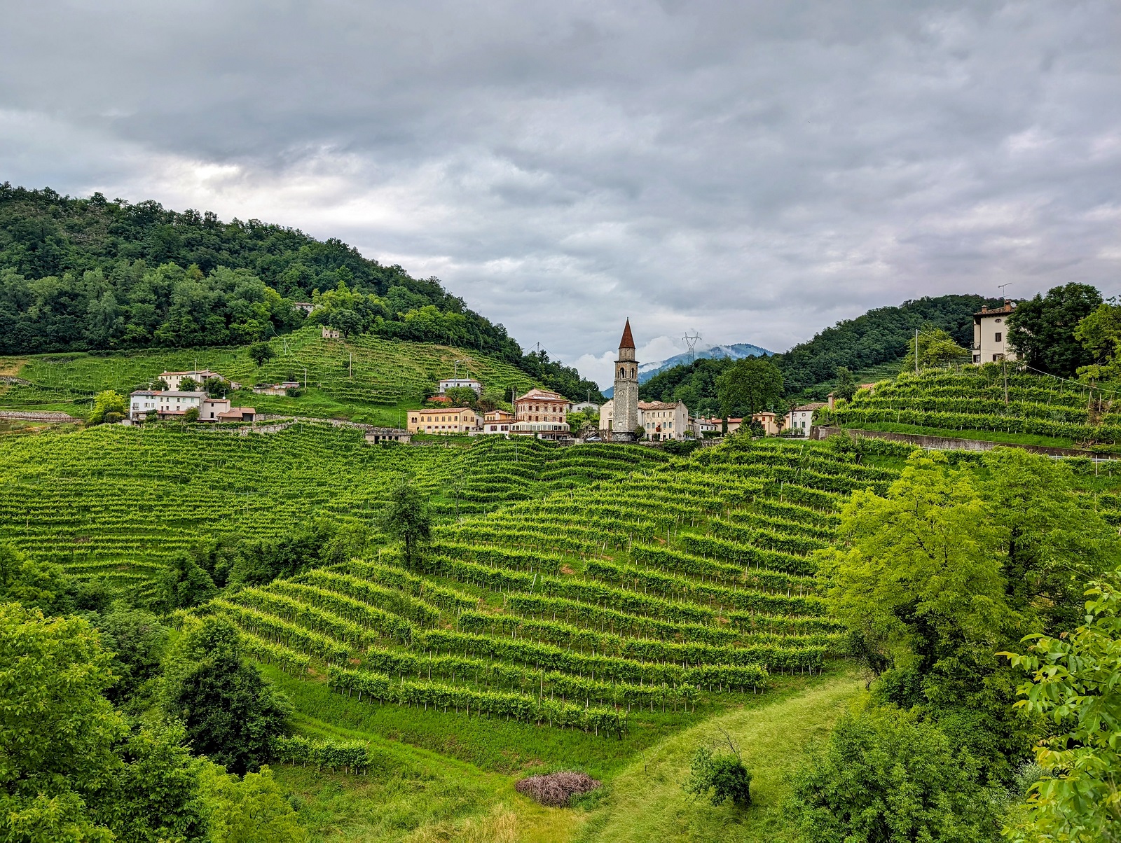 Le Colline del Prosecco di Conegliano e Valdobbiadene: ein ...